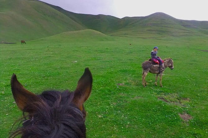 Kyrgyz Family Dinner: Meet, Eat, and Talk - The Sum Up: Who Will Love This Experience?