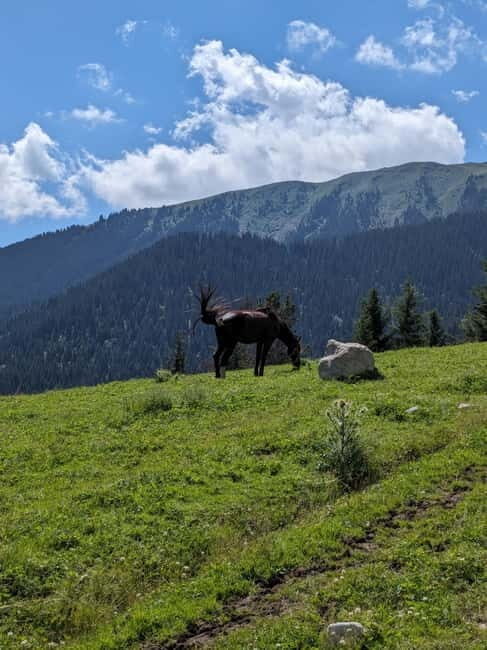 Kyrgyzstan: Pearl of the Heavenly Mountains - Exploring Kyrgyzstan: A Land of Mountain Majesty and Nomadic Spirit