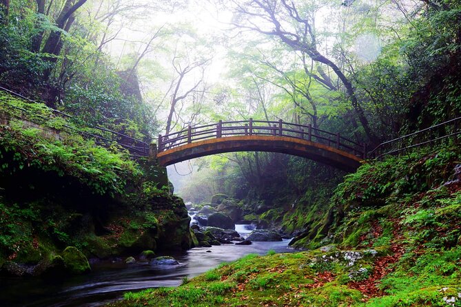 Kyushu Tour of Shrines Sakura Gorges and Landmarks From Fukuoka - Key Points