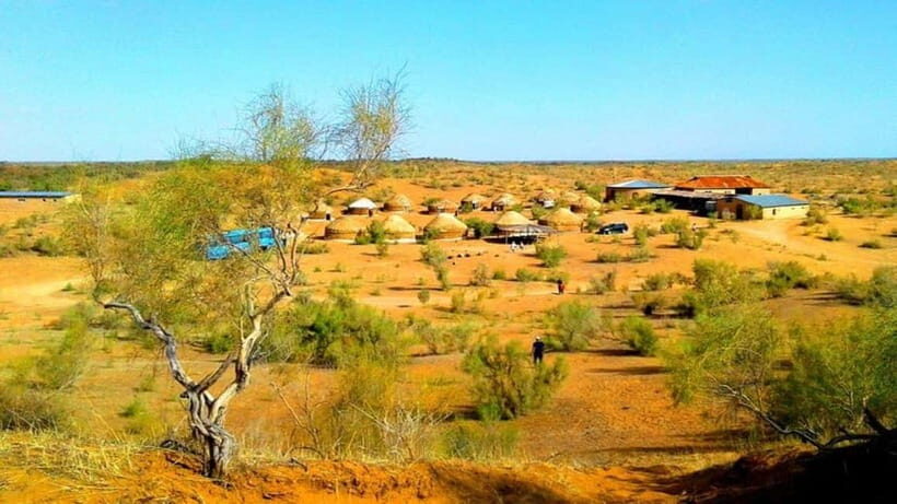 Kyzylkum Desert tour from Bukhara (1 Night 2 Days) - Key Points
