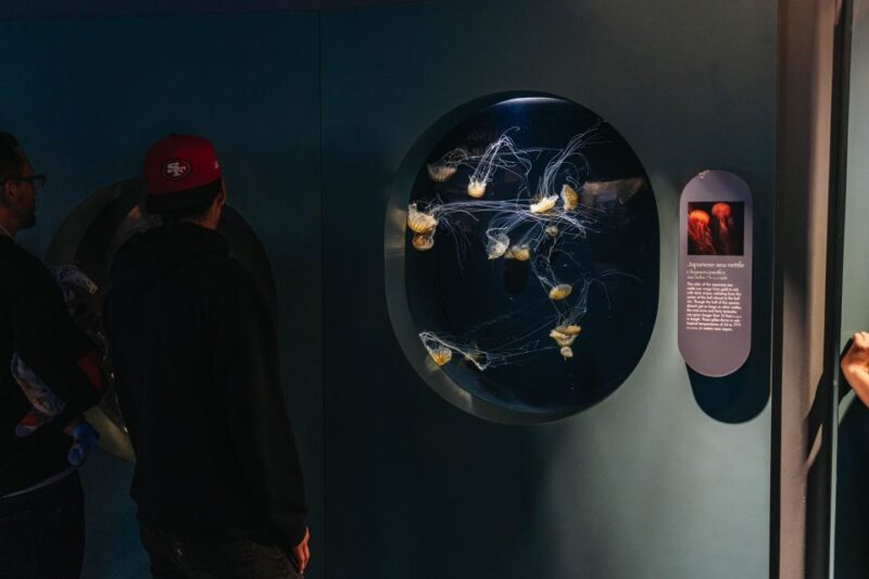 LA: Aquarium of the Pacific Skip-the-Line Entry - The Sum Up