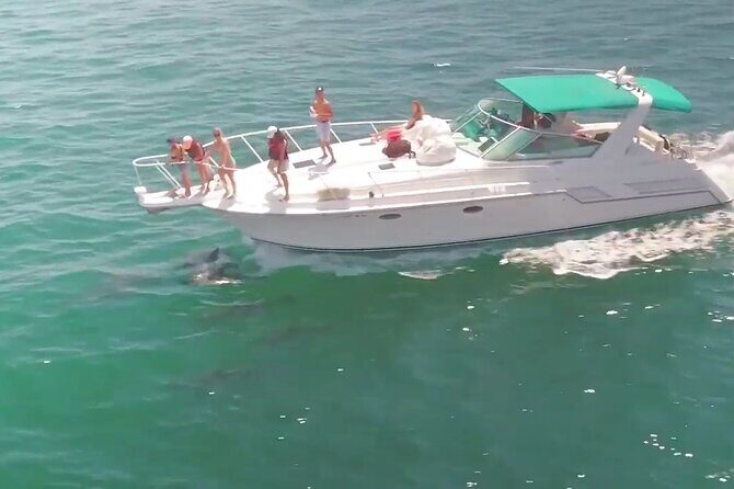 LA: Birthday Special Private Yacht (1 ticket covers 1-6 people) - The Sum Up: Who Will Love This Yacht Trip?