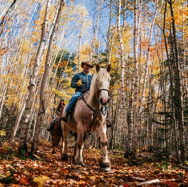 La Bleuetière: A charming introduction to horseback riding - Key Points