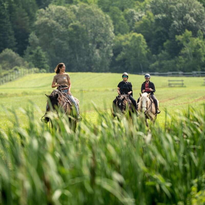 La Bleuetière: A charming introduction to horseback riding - An in-depth look at La Bleuetière horseback riding experience