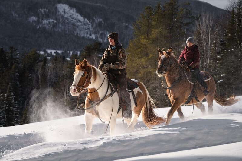 La Bleuetière: A charming introduction to horseback riding - Who should consider this experience?