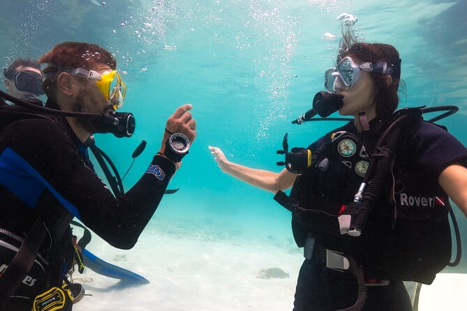 La Bombona Diving Koh Tao Open Water Course - What to Expect on the Day-to-Day