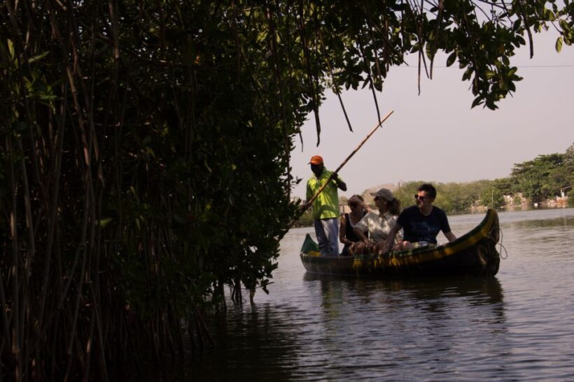 La Boquilla: 3-Hour Canoe Tour through the Mangroves - Exploring La Boquilla’s Mangroves: A 3-Hour Canoe Adventure