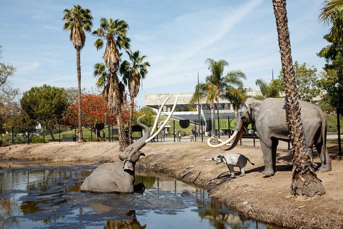 La Brea Tar Pits and Museum Admission Ticket With Excavator Tour - Admission Details and Pricing