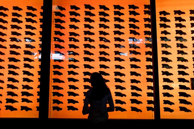 La Brea Tar Pits and Museum Admission Ticket With Excavator Tour - Accessibility Options