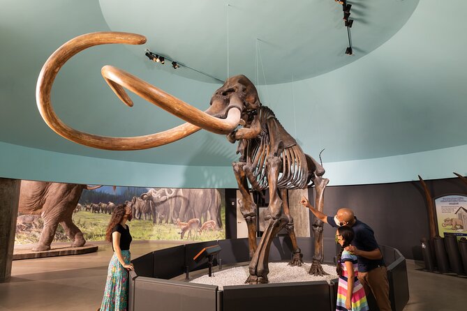 La Brea Tar Pits and Museum Admission Ticket With Excavator Tour - Visitor Feedback and Reviews