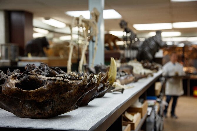 La Brea Tar Pits and Museum Admission Ticket With Excavator Tour - Frequently Asked Questions