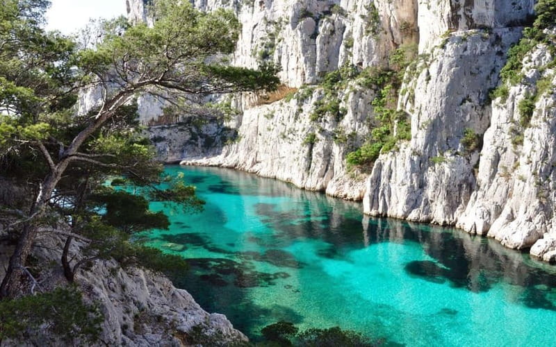 La Ciotat Boat Tour to the Calanques with swimming - Key Points