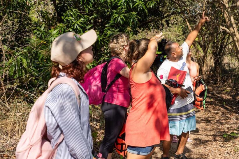 La Crucecita: Hiking and Snorkling/ Drinks and Fruits - An In-Depth Look at the Tour
