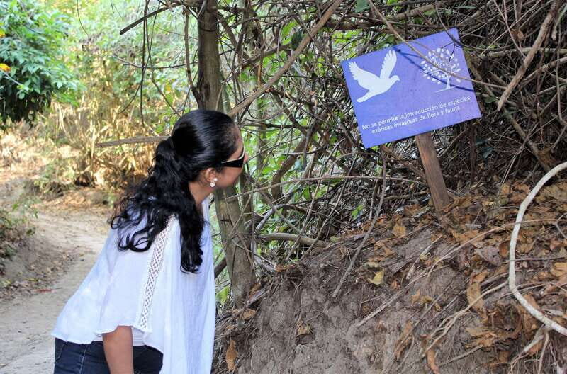 La Crucecita: Hiking and Snorkling/ Drinks and Fruits - FAQ