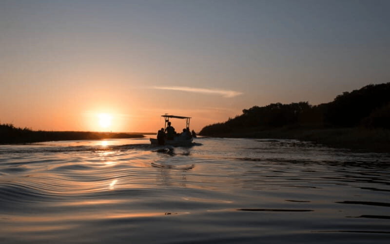 La Crucecita: Magic Lagoon Bioluminescence and Turtles Tour - What to Bring and Practical Tips