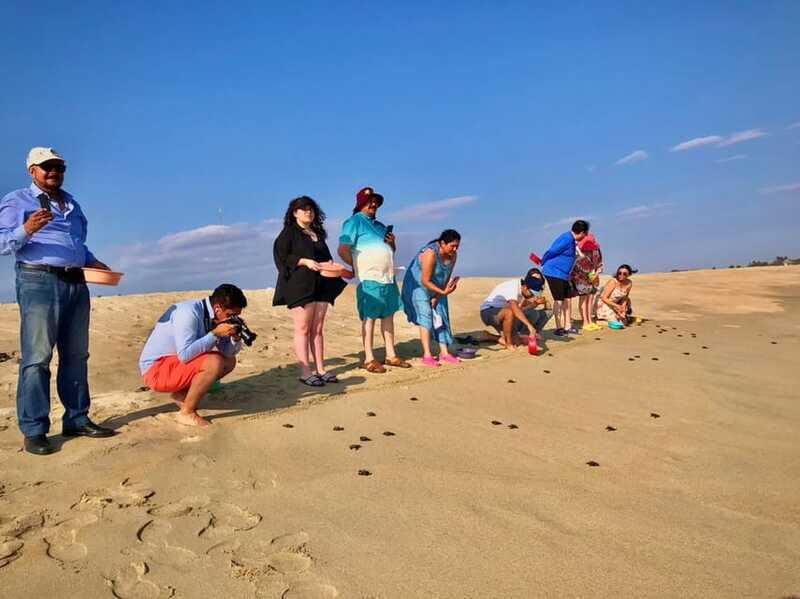 La Crucecita: Magic Lagoon Bioluminescence and Turtles Tour - Final Thoughts