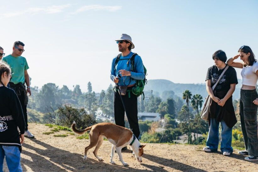 LA: Express Hollywood Sign Guided Walking Tour with Photos - The Value and Who It’s Best For
