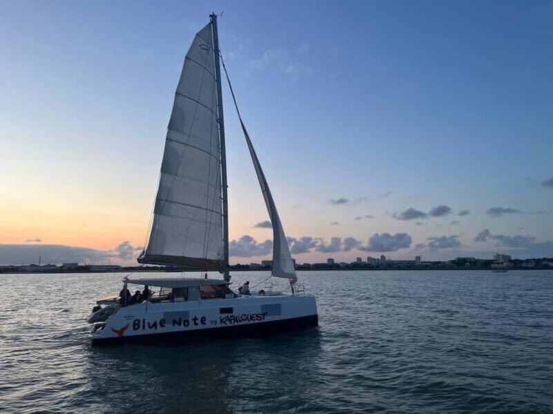 La Flotte en Ré - 5H30 Sailing Catamaran Long Cruise - Introduction
