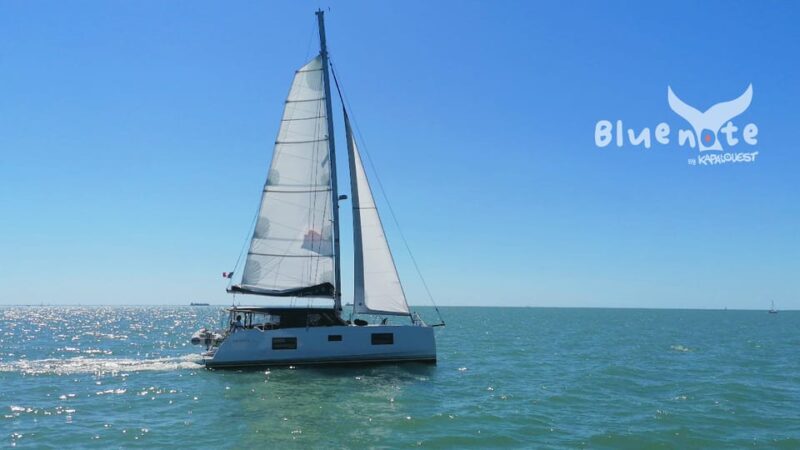 La Flotte, Ile de Ré: Sailing Catamaran Cruise - The Highlights of the Cruise