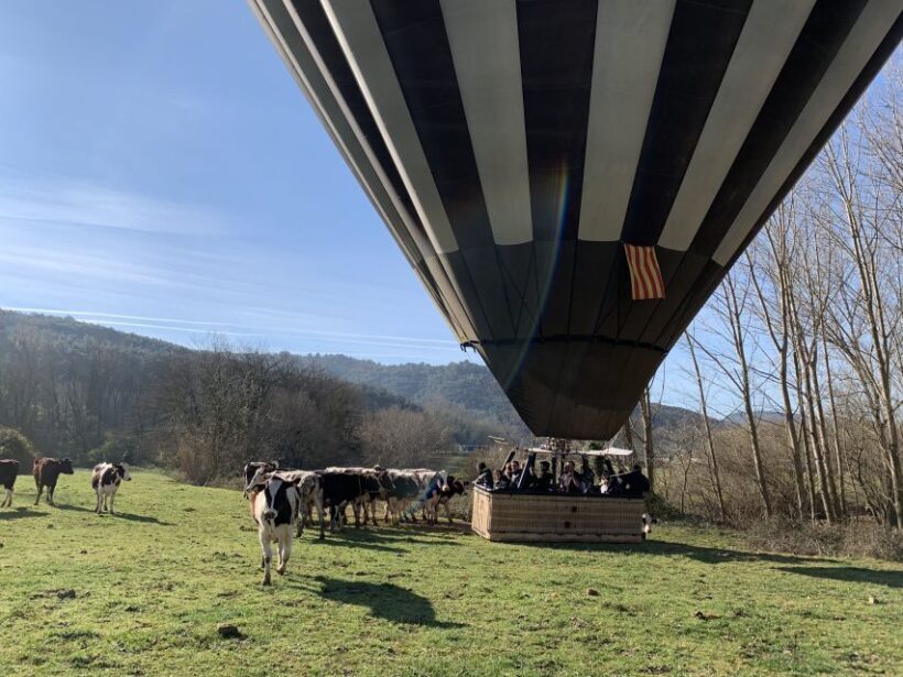 La Garrotxa Volcanoes Half-Day Hot Air Balloon Flight - Analyzing the Cost: Is It Worth It?