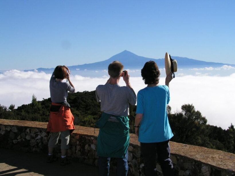 La Gomera: The Rain Forest (national park) - Key Points