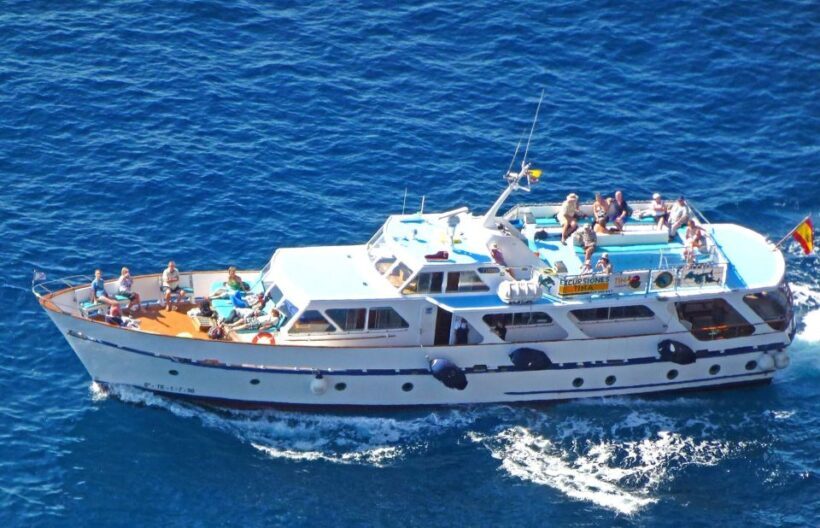 La Gomera: Whale Watching Tour on an Vintage Boat - An In-Depth Look at the Whale Watching Experience