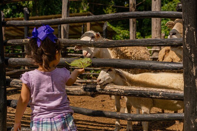 La Hacienda Outdoor Adventure - FAQs About La Hacienda Outdoor Adventure