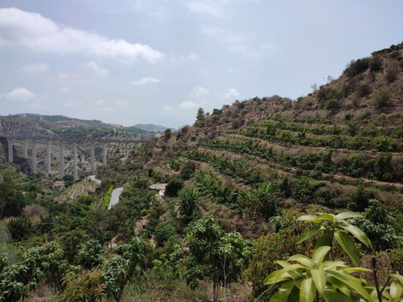 La Herradura Coffee Farm: tour in Europe's only plantation - Why this tour is worth considering