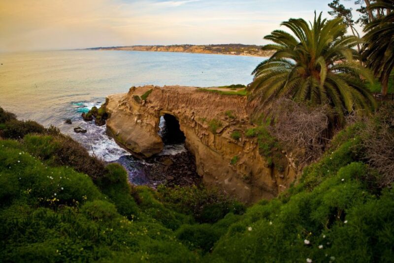La Jolla: 2-Hour Guided Segway Tour - Highlights of the Tour