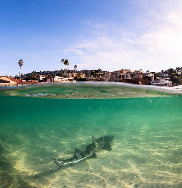 La Jolla: Full-Day Snorkel Gear Rental with Wetsuit Option - FAQ