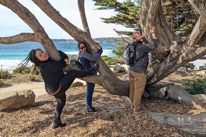 La Jolla Jig Scavenger Hunt - FAQs