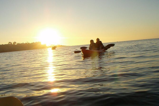 La Jolla Kayak Rental - Introduction: What to Expect from La Jolla Kayak Rental