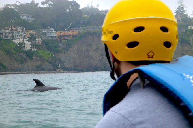 La Jolla Sea Caves Kayak Tour For Two (Tandem Kayak) - The Sum Up