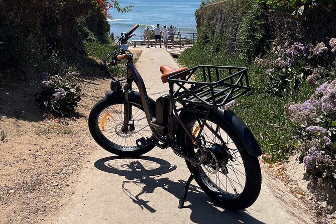 La Jolla's Best Coastal Electric Bike Tour - The Sum Up