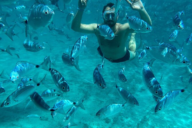 La Maddalena Archipelago Catamaran Day Tour - Key Inclusions