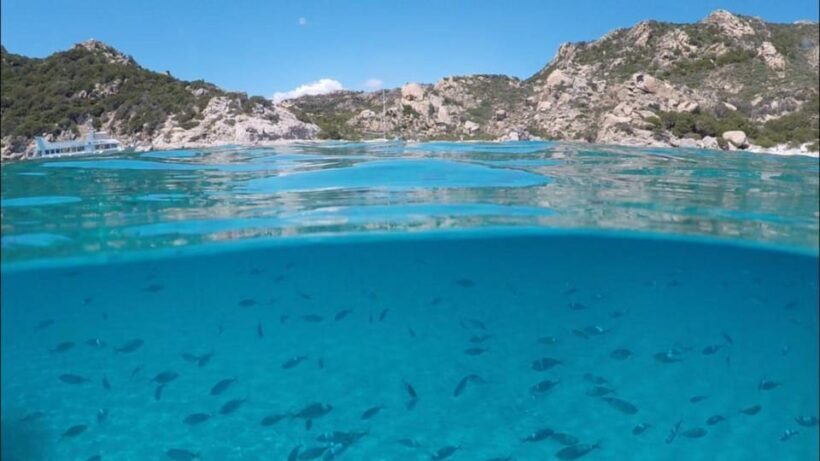La Maddalena Arcipelago: sailing tour among the Islands - The Experience Itself: What You Can Expect