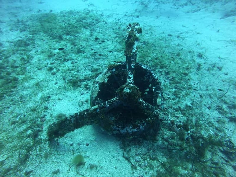 La Maddalena & Lavezzi : scuba diving for certified divers. - Final Thoughts