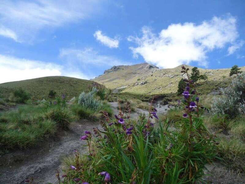 La Malinche Volcano: Hike to the Top and Explore Tlaxcala - Value and Practical Tips