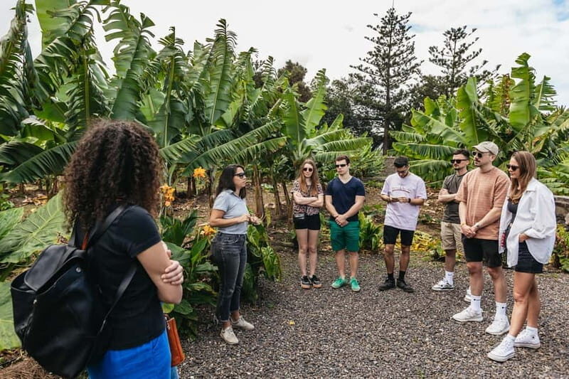 La Orotava: Eco Banana Plantation Tour with Banana Liquor - The Sum Up: Why This Tour Is a Smart Choice