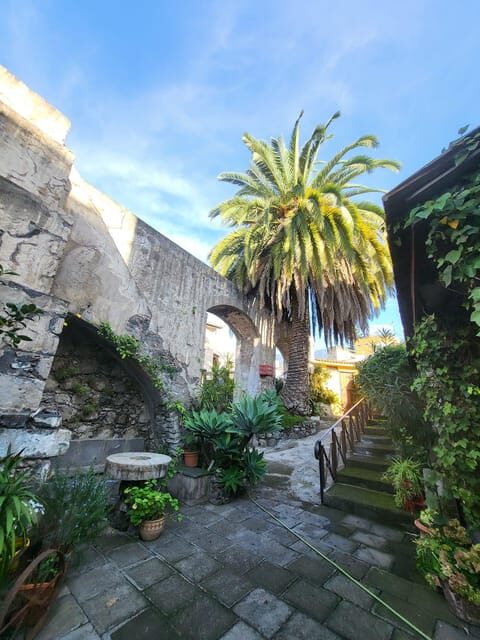 La Orotava: guided tour with gofio tasting, Los Molinos de la Villa - Key Points