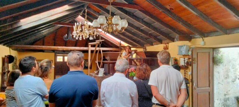 La Orotava: guided tour with gofio tasting, Los Molinos de la Villa - The Itinerary in Detail