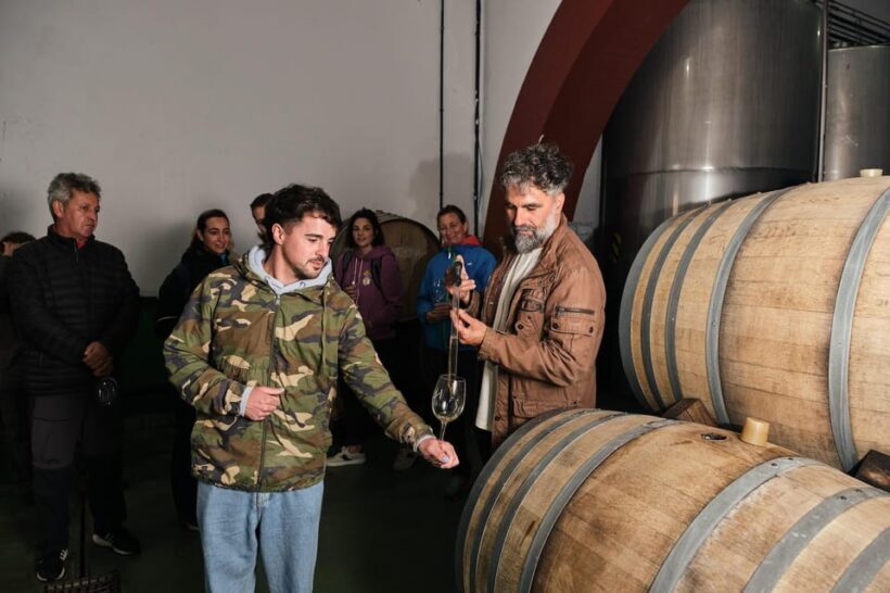 La Palma: Bodegas Teneguia Winery Tour with Wine Tasting - Authentic Experiences and Authentic Wines