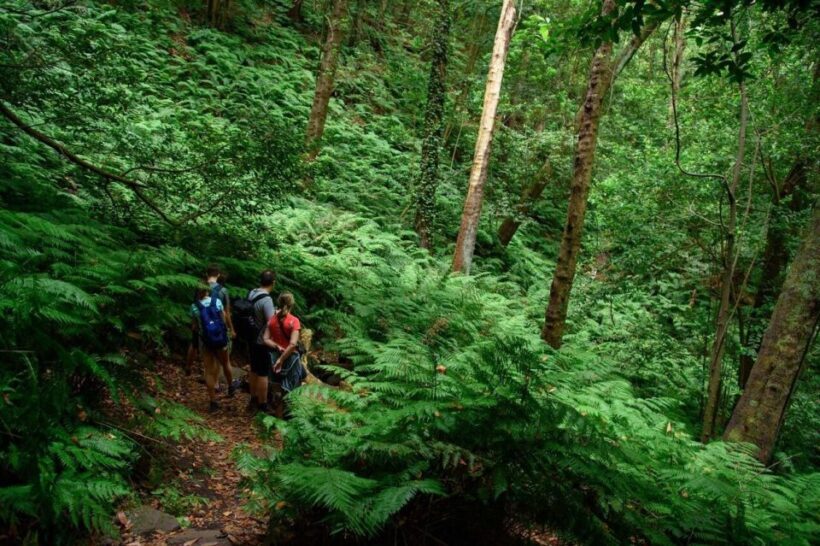 La Palma: Guided Trekking Tour To Cubo de la Galga - Exploring La Palma’s Hidden Gem: Cubo de la Galga