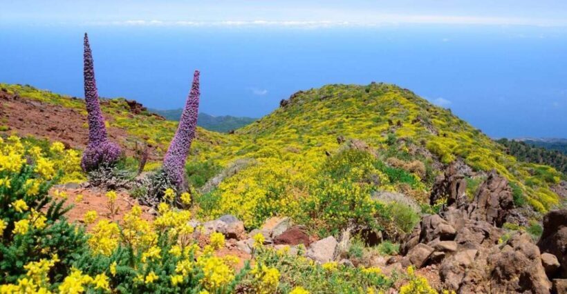 La Palma: Guided Trekking Tour to El Roque de los Muchachos - What Is This Tour All About?