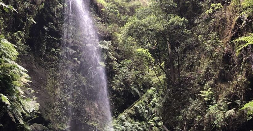 La Palma: North Island Bus Tour with Ron Aldea Distillery - Key Points