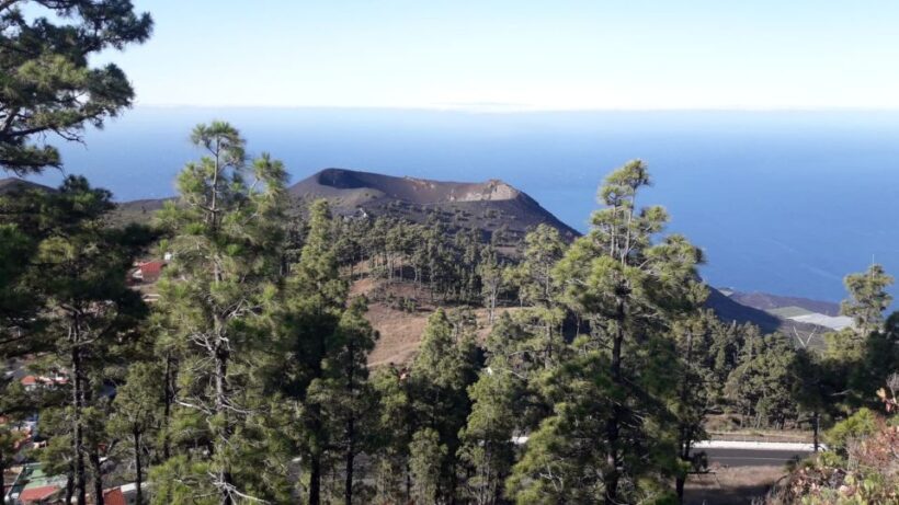 La Palma: San Antonio and Teneguia Volcanos Tour by 4x4 Bus - Key Points