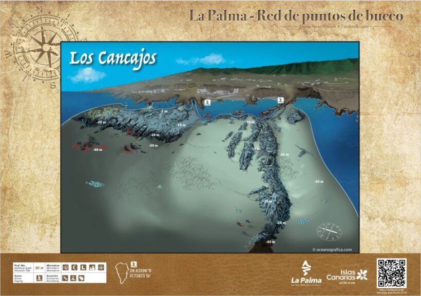 La Palma : Snorkeling Tour in Los Cancajos - An In-Depth Look at the Snorkeling Tour
