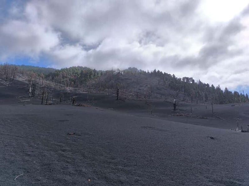 La Palma: Tajogaite Volcano Guided Hike - What Guides Share and Why It Matters