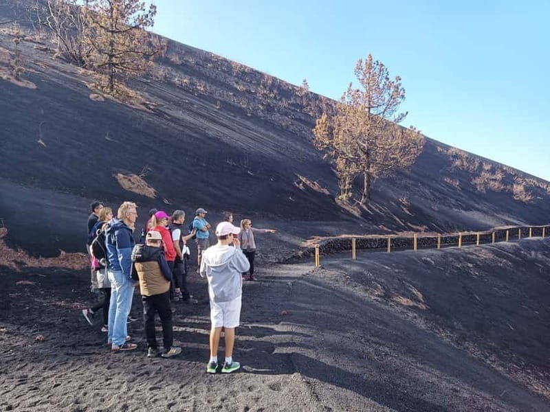 La Palma: Tajogaite Volcano Guided Hike - Authentic Experiences and Reviews