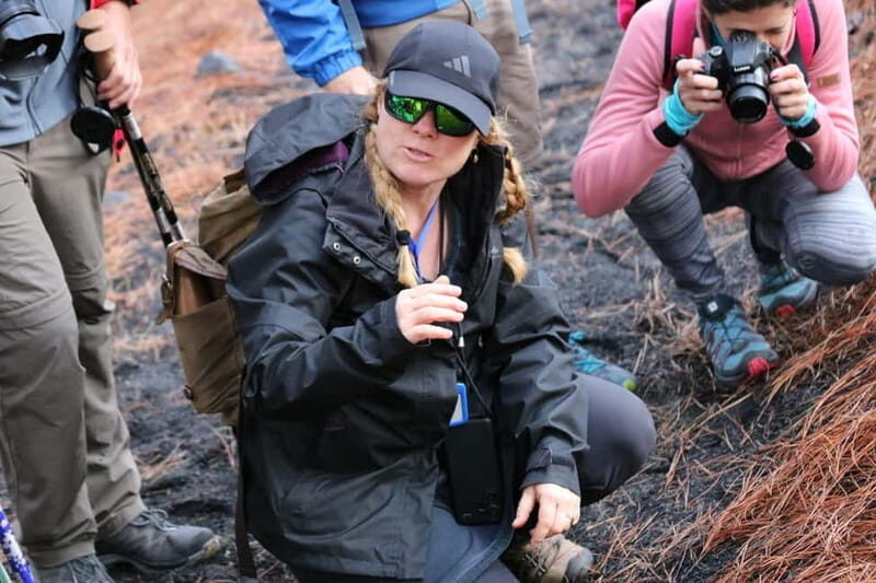 La Palma: Tajogaite Volcano Guided Hike - Why This Tour Is a Great Pick